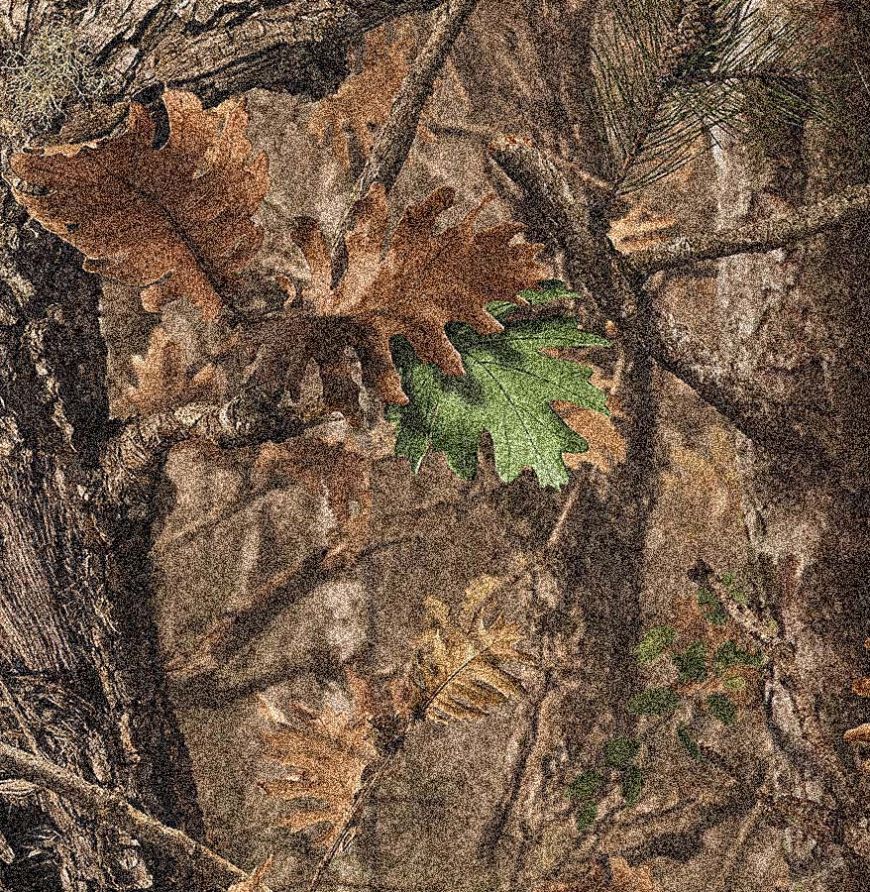 camo leaf