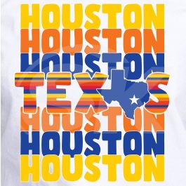 Houston Texas flag Baseball 9 X 10.5 INCHES
